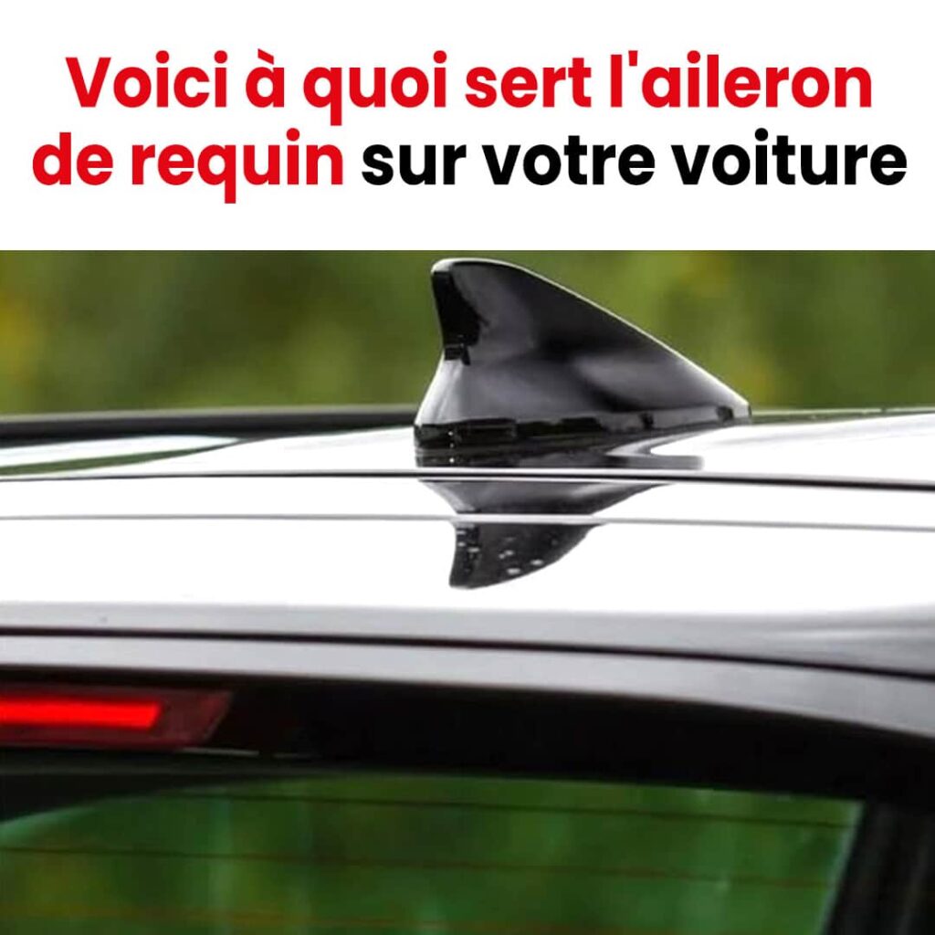 Découvrez les multiples usages de l'aileron de requin sur les voitures ...