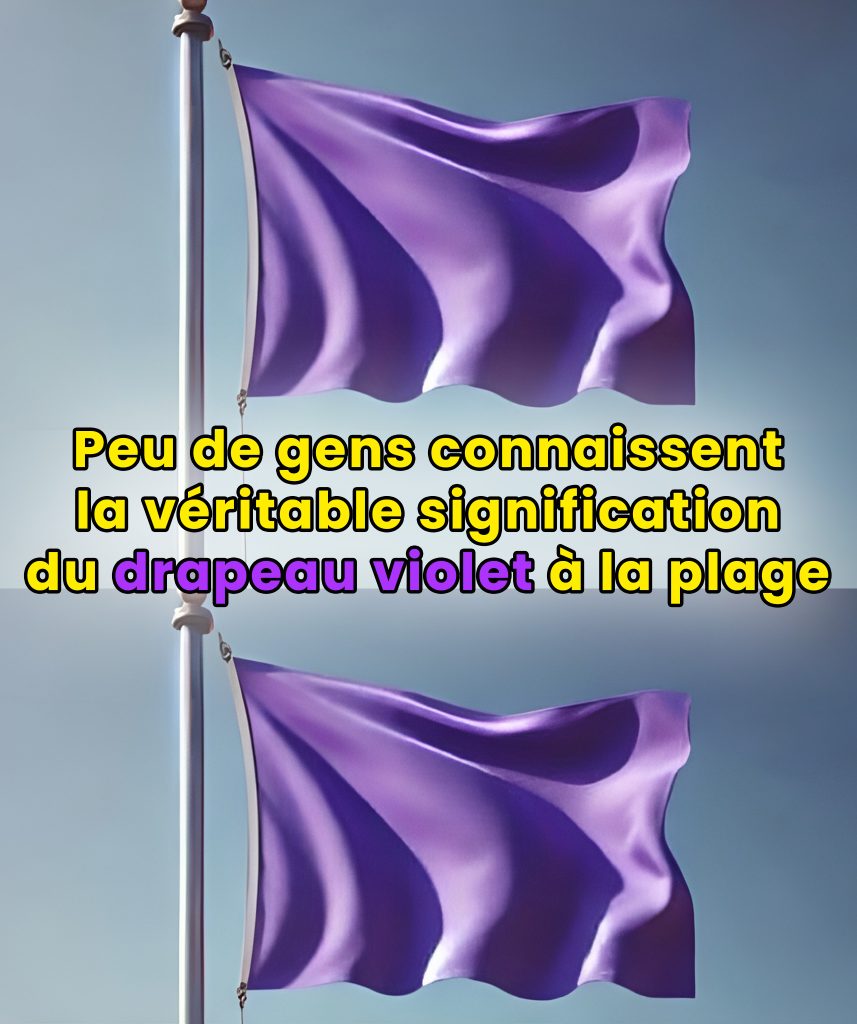 Drapeau violet en bord de mer : décryptage d'un signal méconnu - Santé ...